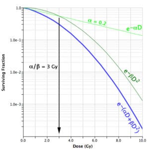 Radiobiology | Oncology Medical Physics