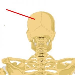 Parietal – Oncology Medical Physics